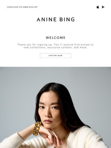 Email Inspiration from ANINE BING - Email Love