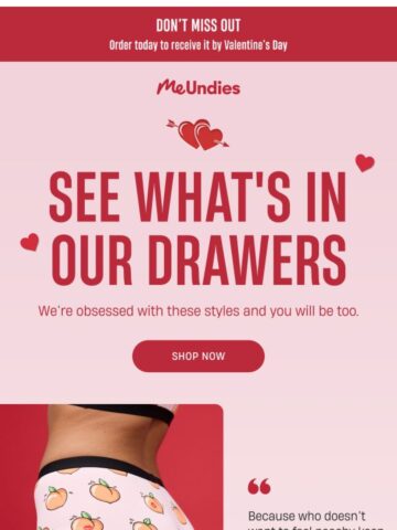 Email Inspiration from MeUndies - Email Love