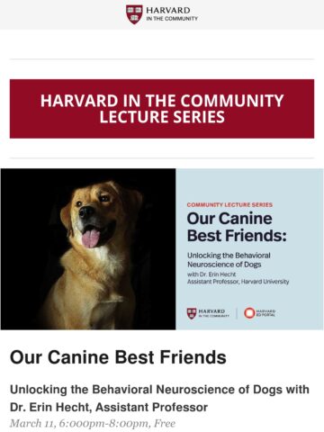 Email Inspiration from Harvard in Community - Email Love