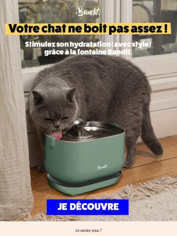 Email Inspiration from French Bandit - Email Love