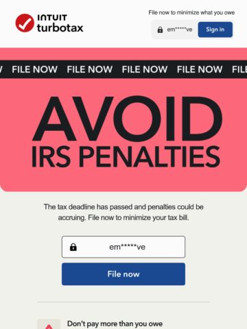 Email Inspiration from TurboTax - Email Love