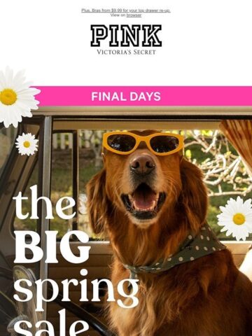 Email Inspiration from VS PINK: Spring Sale - Email Love