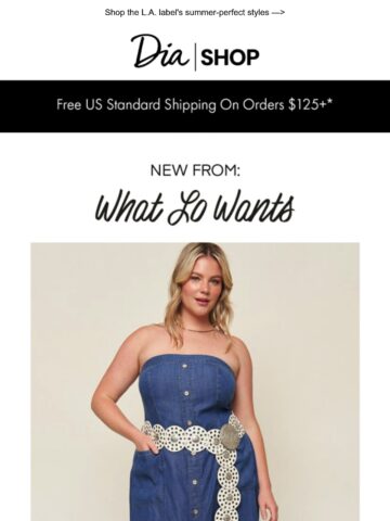 Email Inspiration from Dia Shop - Email Love
