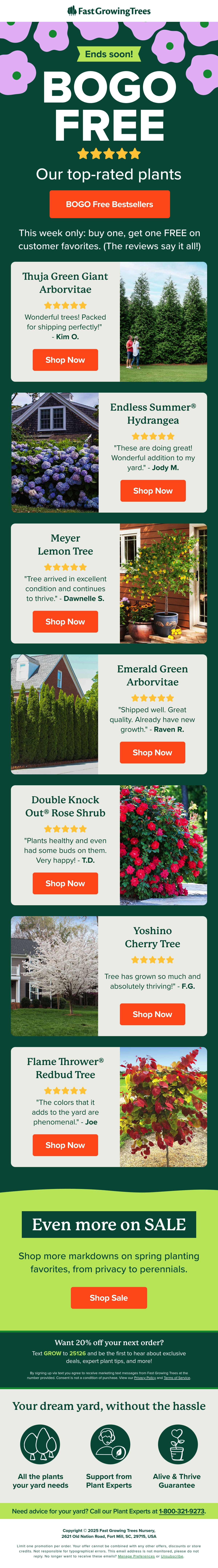 Email Inspiration from Fast-Growing-Trees.com - Email Love