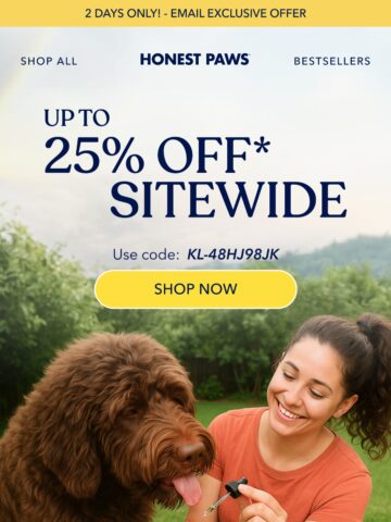 Email Inspiration from Honest Paws - Email Love