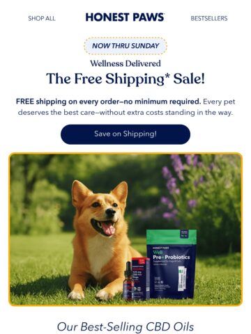 Email Inspiration from Honest Paws - Email Love