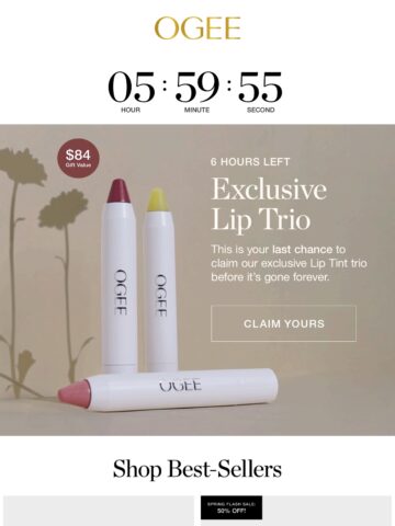 Email Inspiration from Ogee - Email Love
