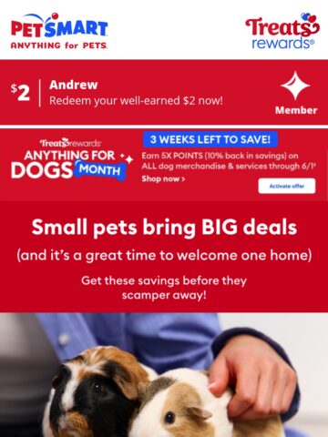 Email Inspiration from PetSmart - Email Love