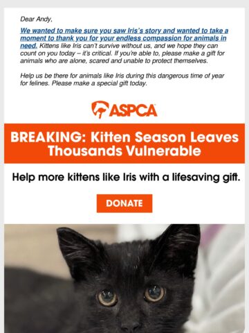 Email Inspiration from ASPCA - Email Love