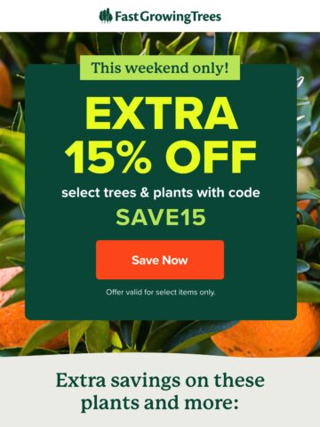 Email Inspiration from Fast-Growing-Trees.com - Email Love