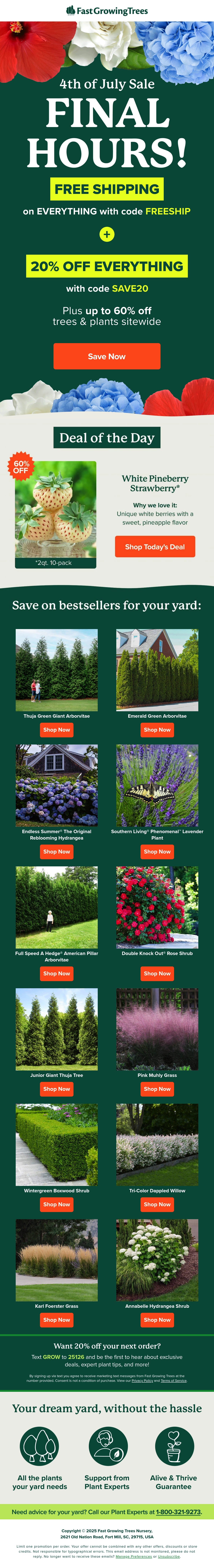 Email Inspiration from Fast-Growing-Trees.com - Email Love
