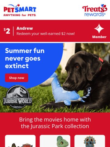 Email Inspiration from PetSmart - Email Love