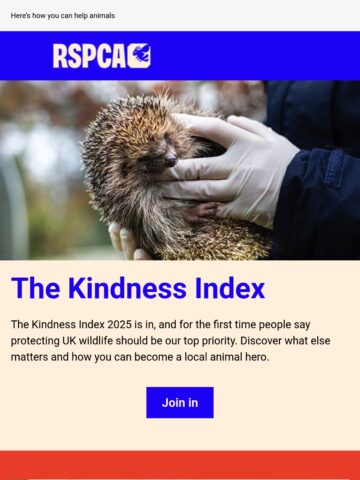 Email Inspiration from RSPCA - Email Love