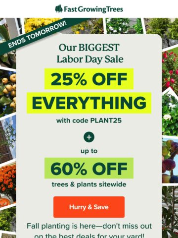 Email Inspiration from Fast-Growing-Trees.com - Email Love