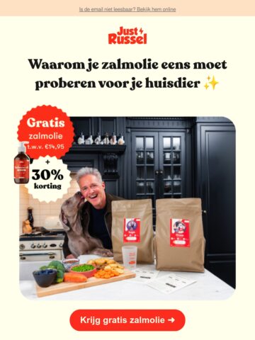 Email Inspiration from Louis van Just Russel - Email Love
