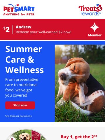 Email Inspiration from PetSmart - Email Love