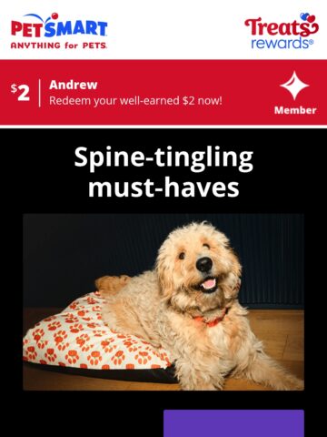 Email Inspiration from PetSmart - Email Love