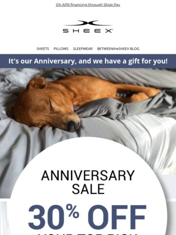 Email Inspiration from SHEEX - Email Love