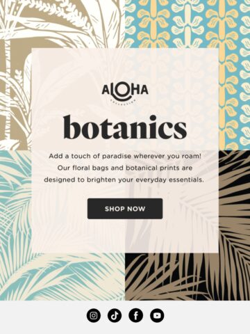 Email Inspiration from ALOHA Collection - Email Love
