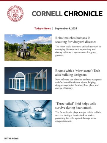 Email Inspiration from Cornell Chronicle - Email Love