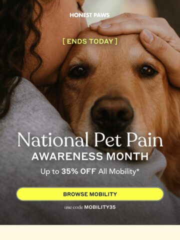 Email Inspiration from Honest Paws - Email Love