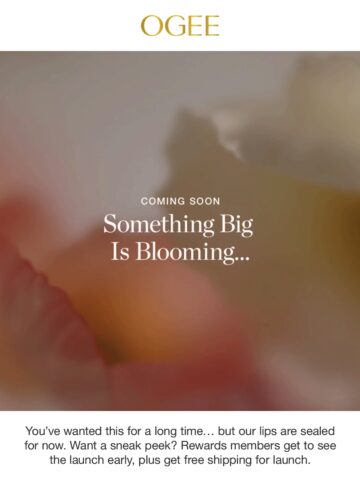 Email Inspiration from Ogee - Email Love