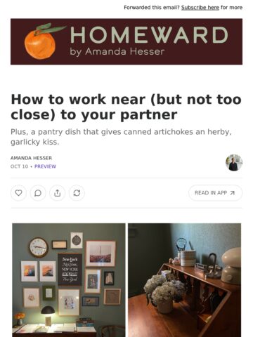 Email Inspiration from Amanda Hesser from Homeward - Email Love