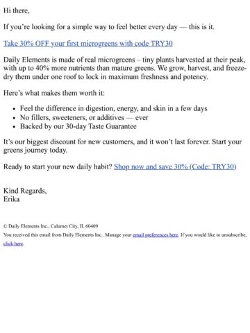 Email Inspiration from Erika at Daily Elements - Email Love