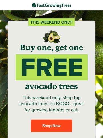 Email Inspiration from Fast-Growing-Trees.com - Email Love