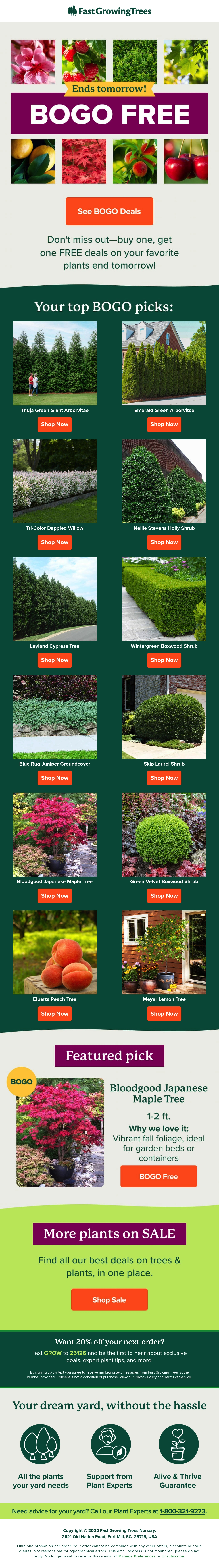Email Inspiration from Fast-Growing-Trees.com - Email Love