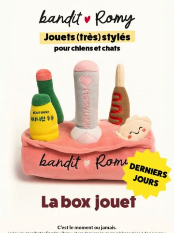 Email Inspiration from French Bandit - Email Love
