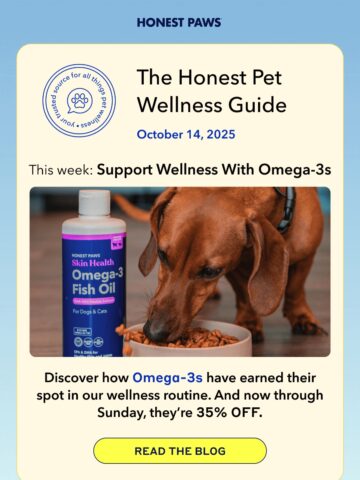 Email Inspiration from Honest Paws - Email Love