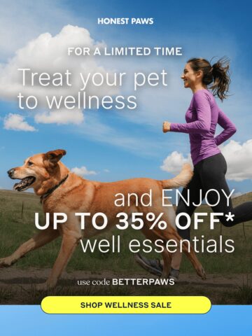 Email Inspiration from Honest Paws - Email Love