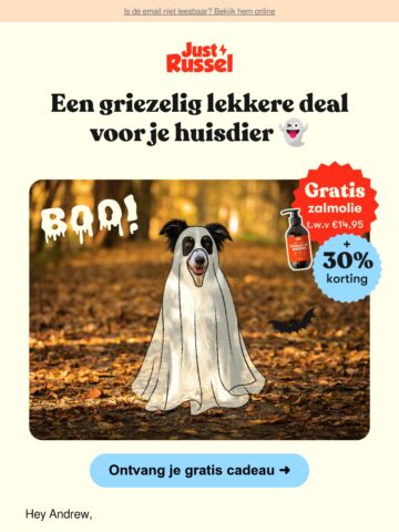 Email Inspiration from Louis van Just Russel - Email Love