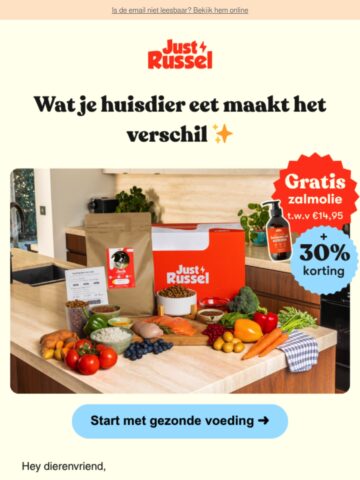 Email Inspiration from Louis van Just Russel - Email Love