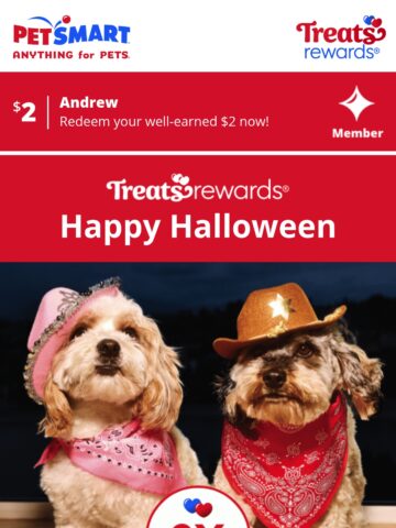 Email Inspiration from PetSmart - Email Love