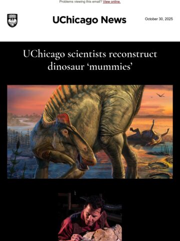 Email Inspiration from UChicago News - Email Love