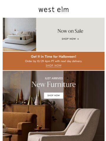 Email Inspiration from West Elm - Email Love