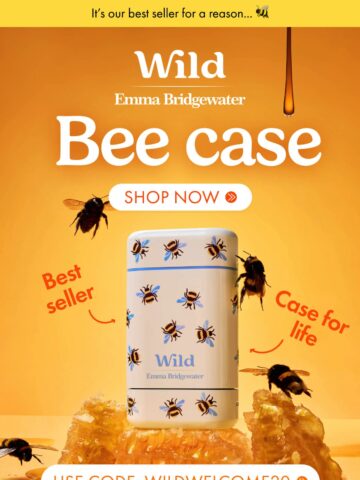 Email Inspiration from Wild - Email Love