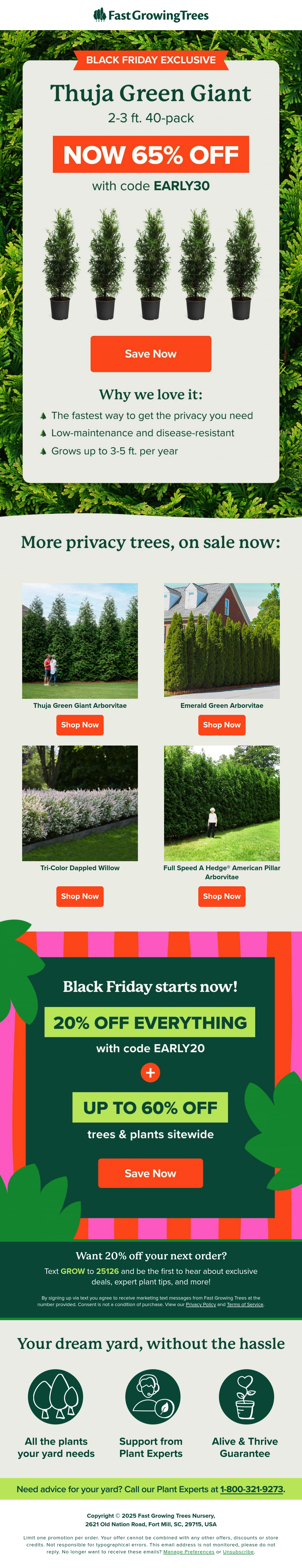 Email Inspiration from Fast-Growing-Trees.com - Email Love