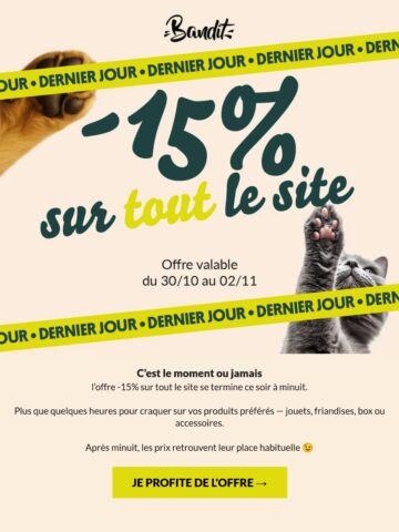 Email Inspiration from French Bandit - Email Love