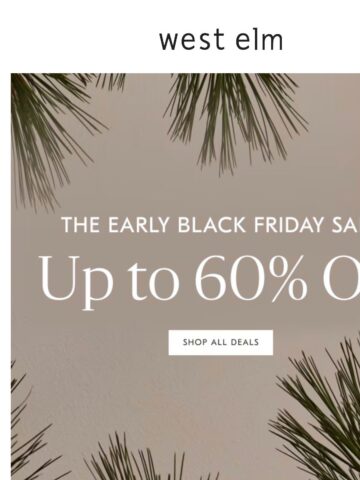 Email Inspiration from West Elm Sale - Email Love