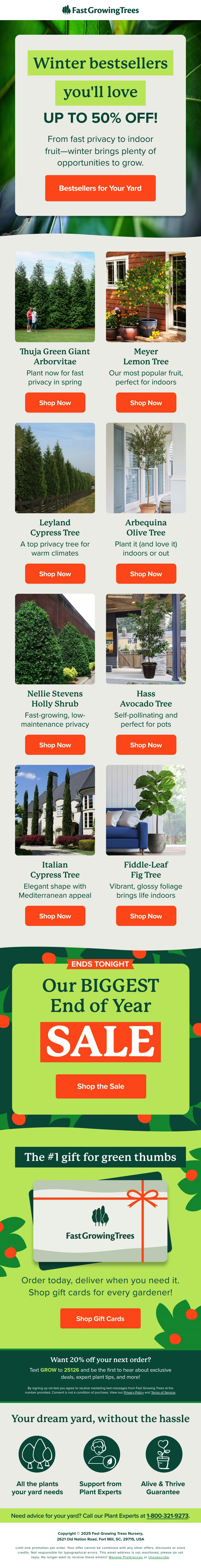 Email Inspiration from Fast-Growing-Trees.com - Email Love