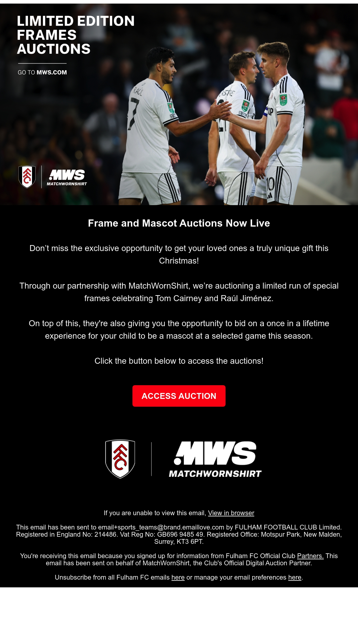 Email Inspiration from Fulham FC - Email Love