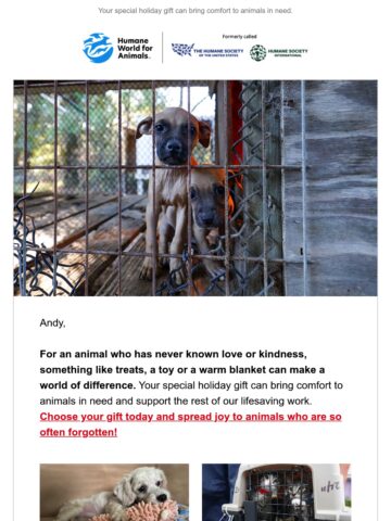 Email Inspiration from Humane World for Animals - Email Love
