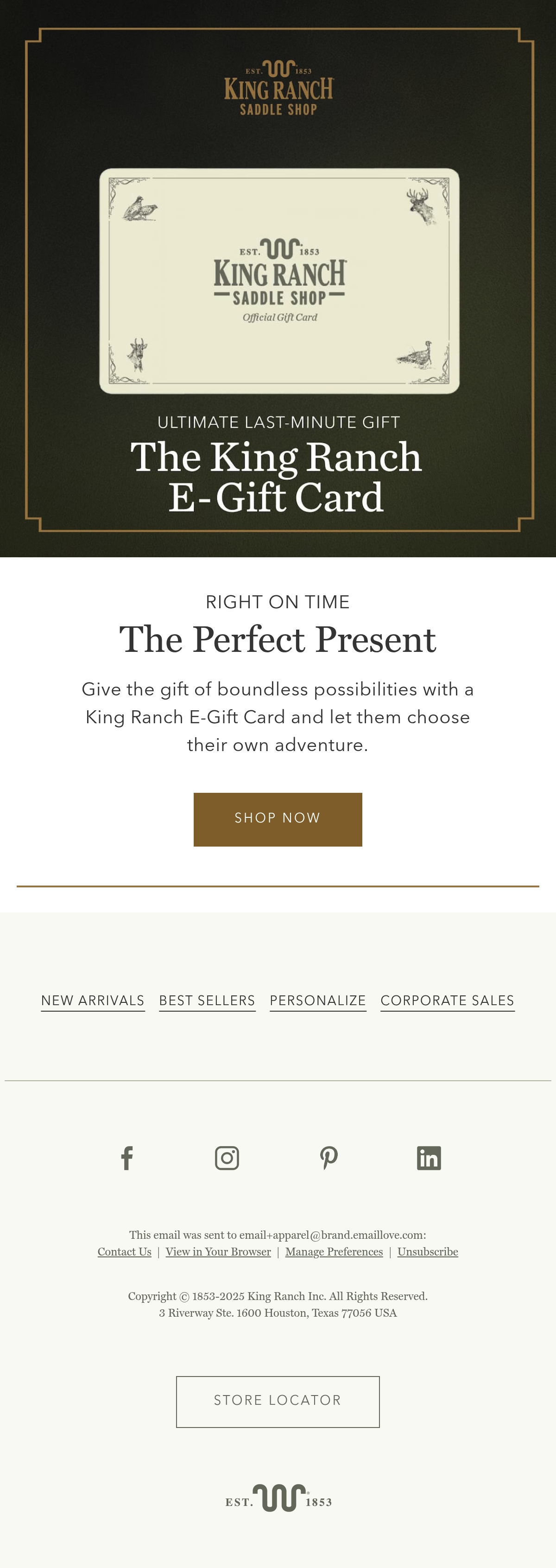 Email Inspiration from King Ranch Saddle Shop - Email Love