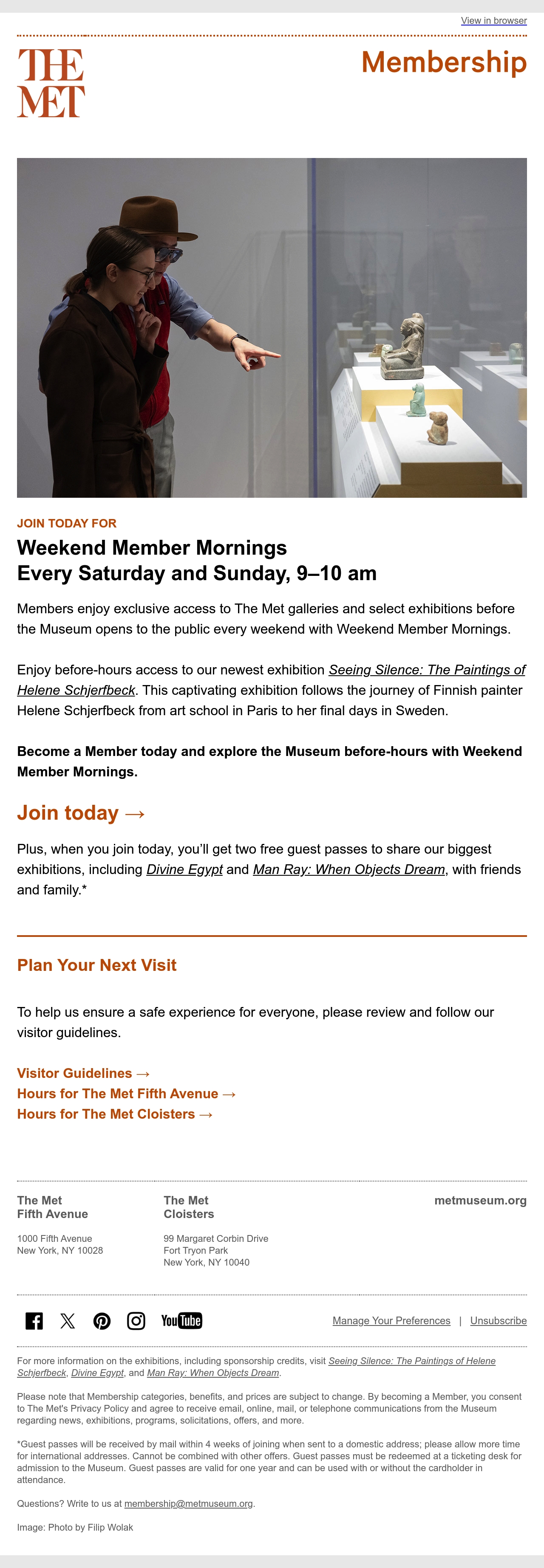 Email Inspiration from Met Membership - Email Love