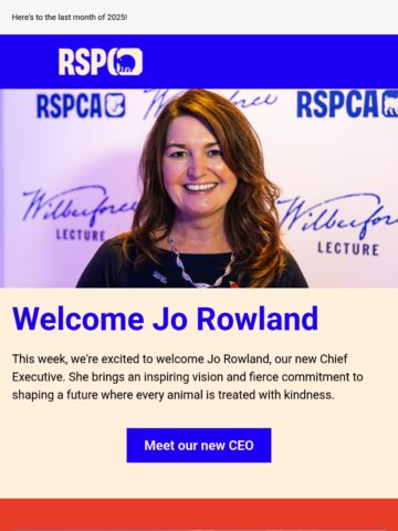 Email Inspiration from RSPCA - Email Love