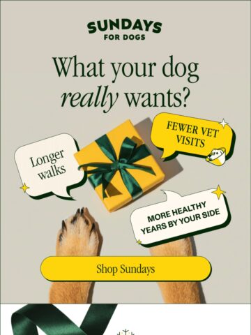 Email Inspiration from Sundays for Dogs - Email Love