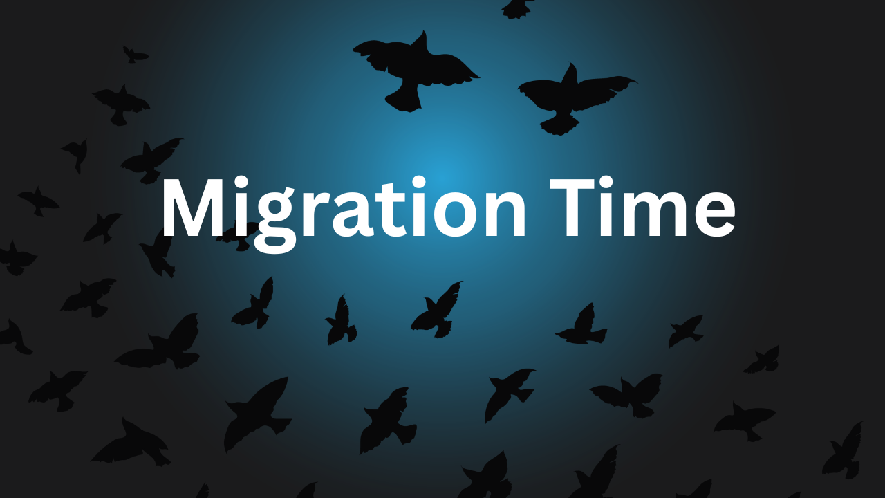 I Messed Up (And Here's What I Learned About ESP Migrations) - Email Love